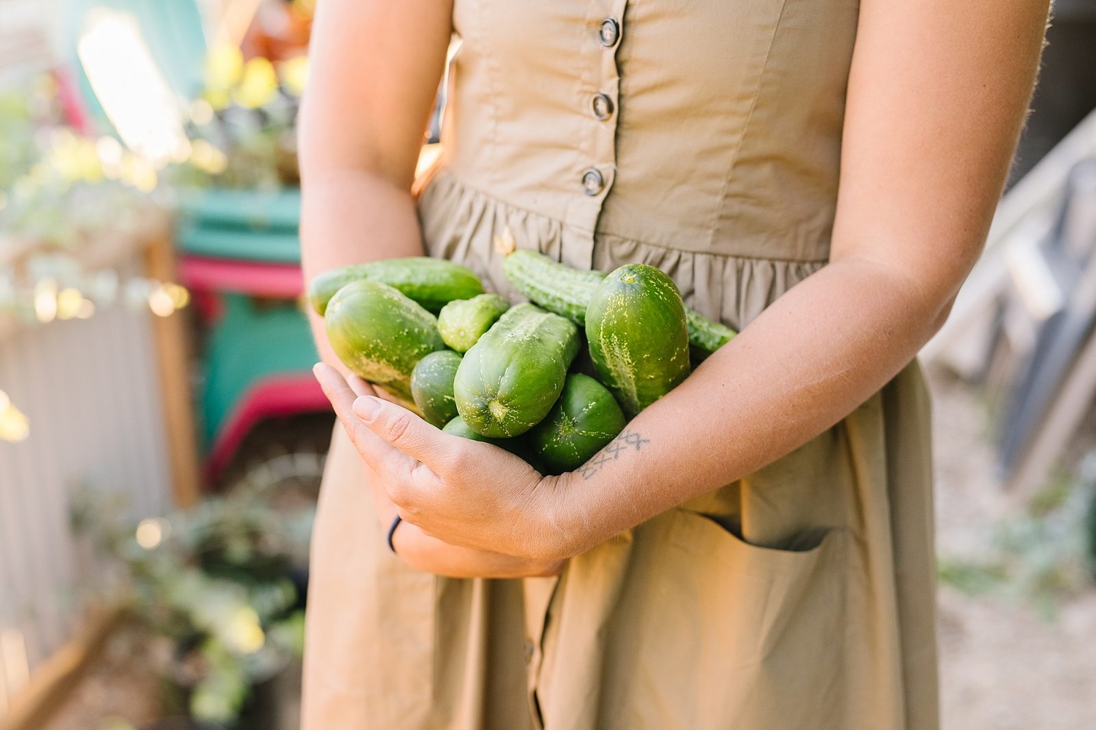 Primrose Flower Farm | Southern Alberta Brand Photographer - Kinsey ...